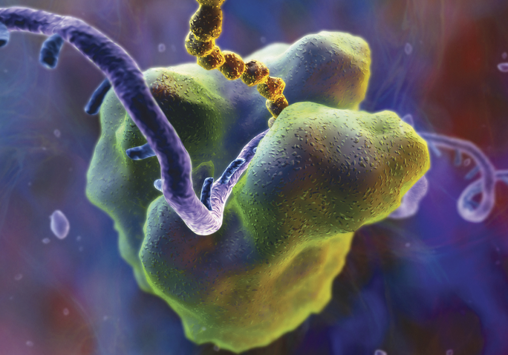 Material Spotlight: Nanozymes - StemCo